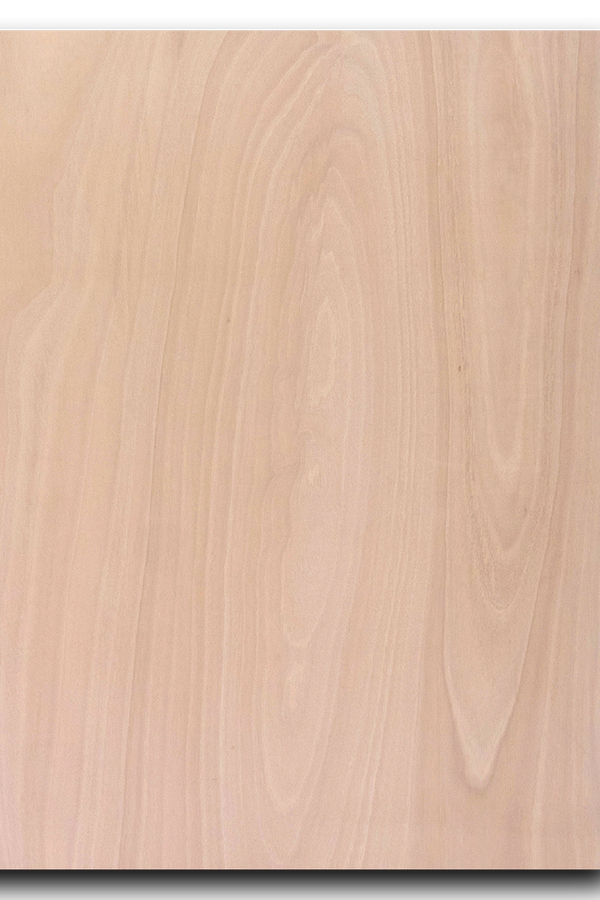 Triplay | Grupo El Sabino